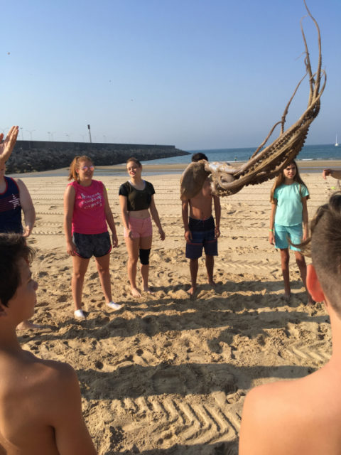 Kevin & Sharon Scheible - Cadence International