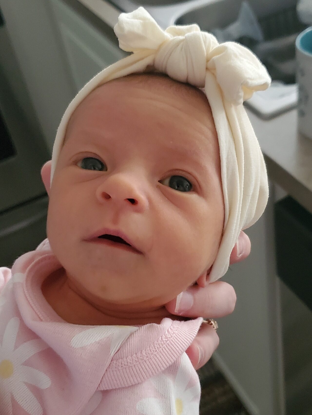 Dalton Kalas - Cadence International